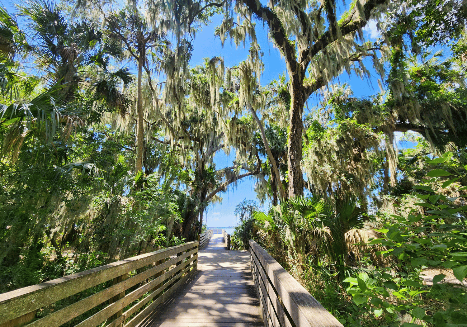 17 Best Things To Do In Mount Dora Florida - A Florida Traveler