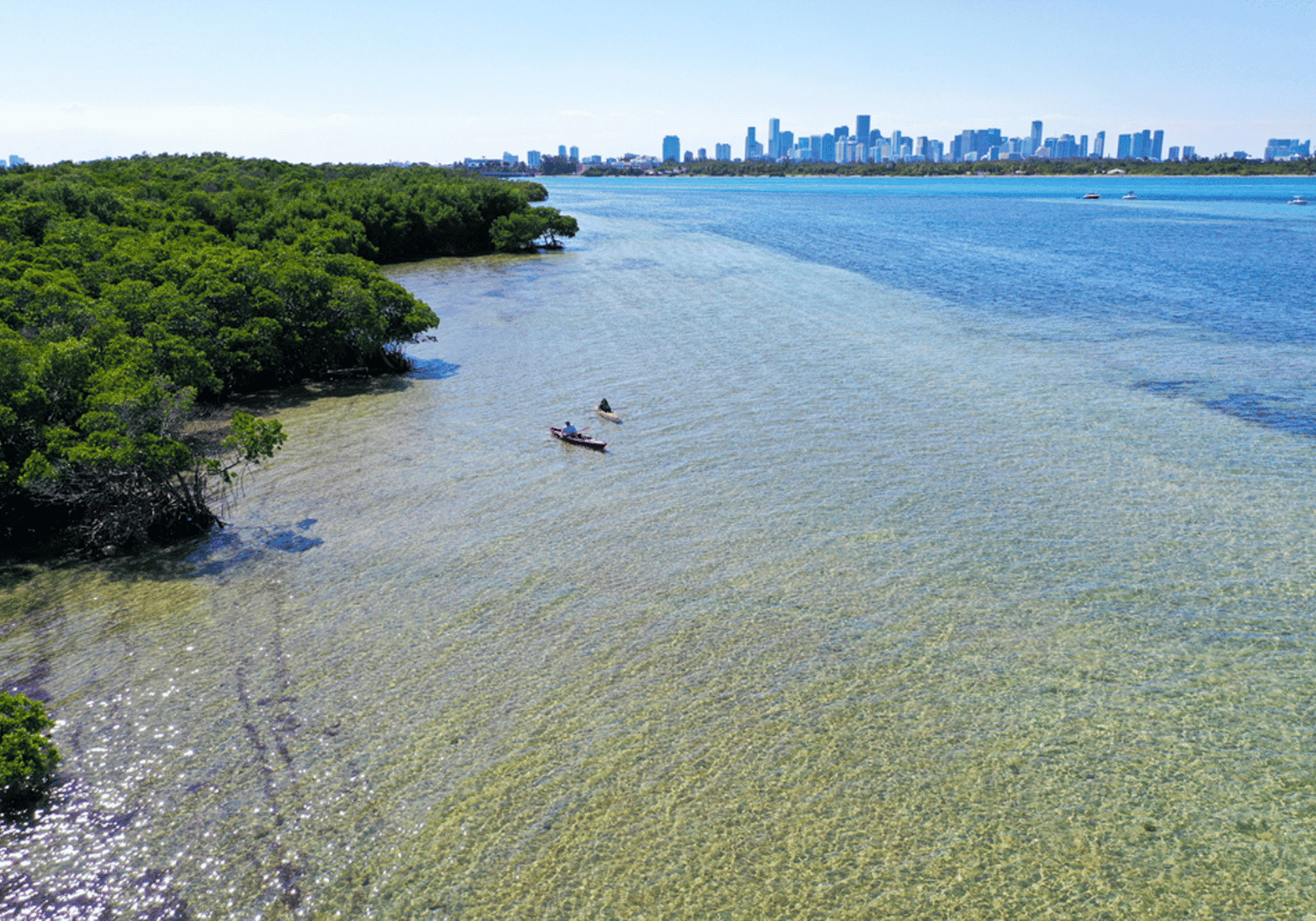 16 Best Places For Kayaking In (And Near) Miami - A Florida Traveler