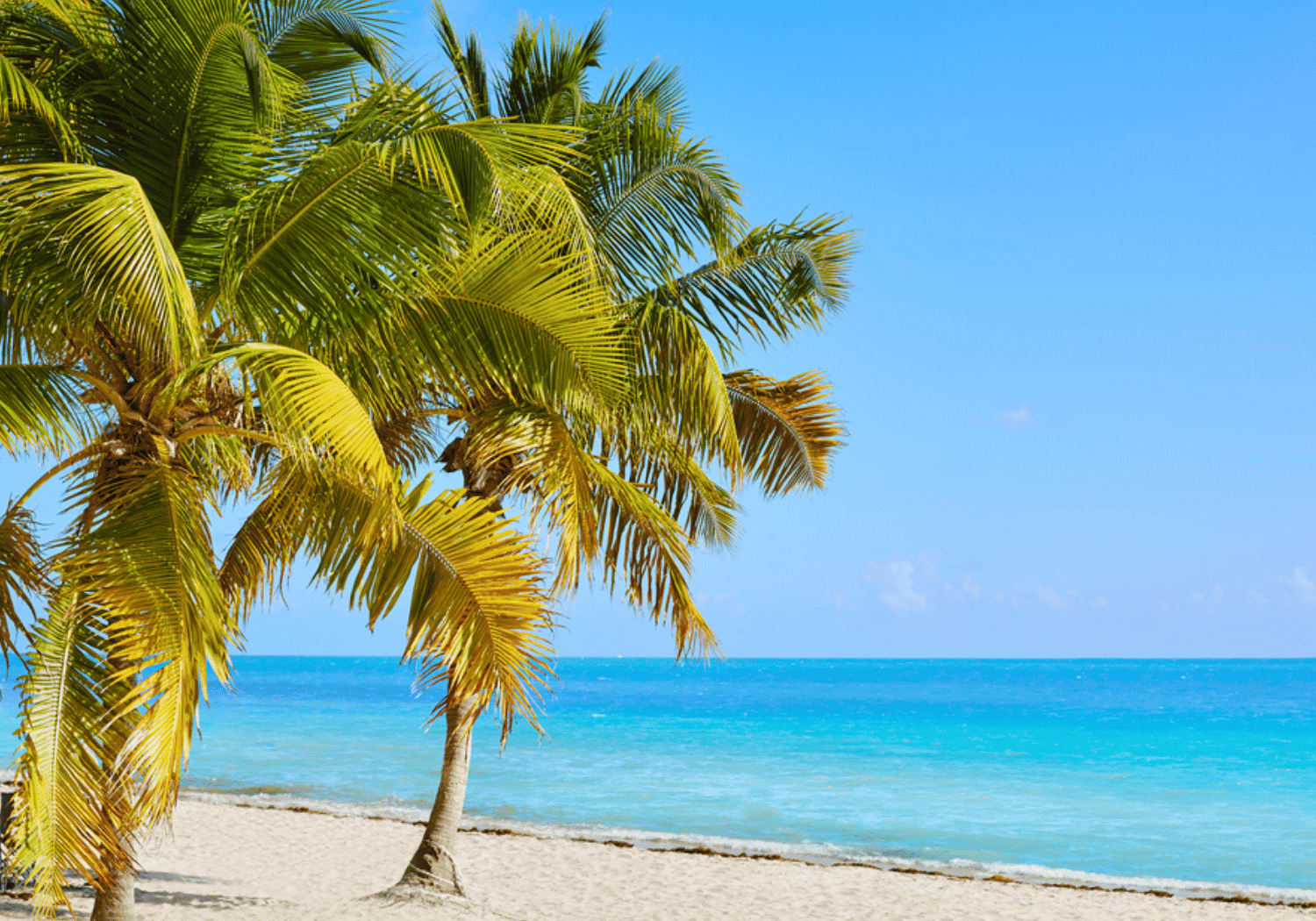 8 Best Beaches In (And Near) Key West Florida - A Florida Traveler
