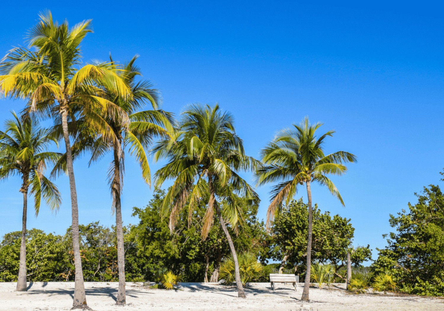 6 Best Beaches In Key Largo - A Florida Traveler