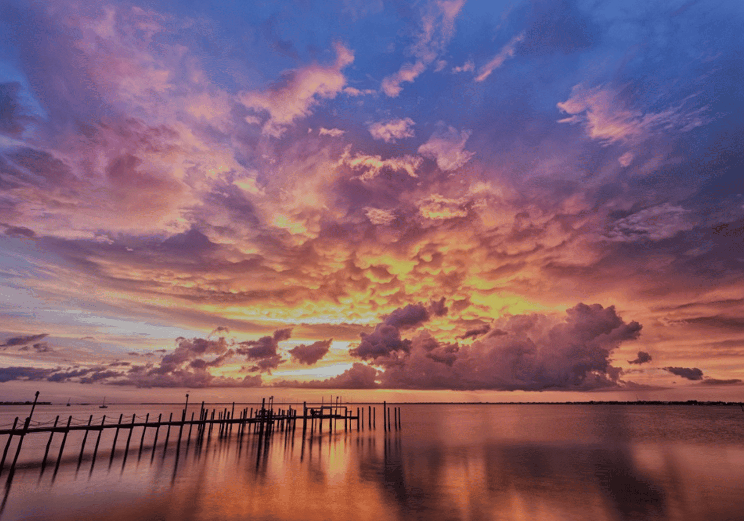 11 Best Things To Do In Punta Gorda Florida - A Florida Traveler